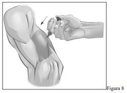 Lonquex (Lipegfilgrastim) 10mg/ml - Bula do paciente | Farmaindex