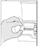Pasurta (Erenumabe) 70mg/ml, 140mg/ml - Bula do paciente | Farmaindex