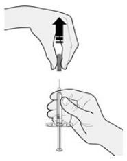 Pasurta (Erenumabe) 70mg/ml, 140mg/ml - Bula do paciente | Farmaindex