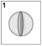 Bula Predsim 10mg - Farmaindex