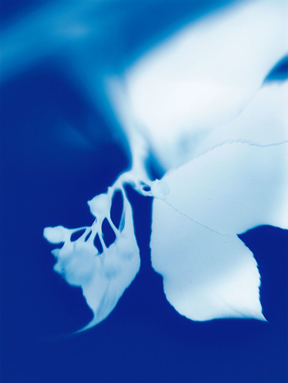 A fragrance by GANT | GANT Norge