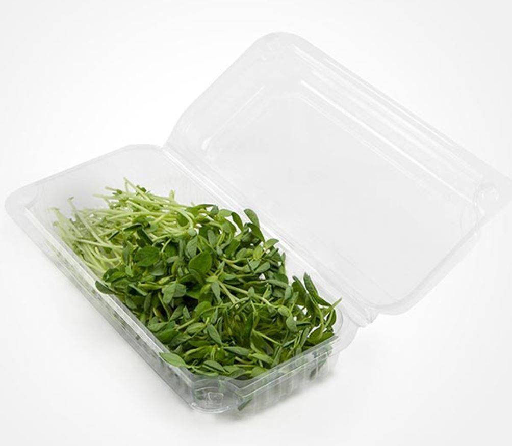 The Best Container for Microgreen Sales