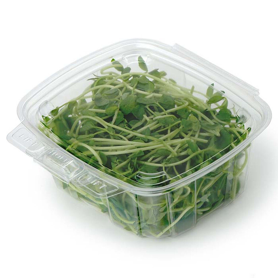 The Ultimate Guide to Choosing Containers for Microgreens