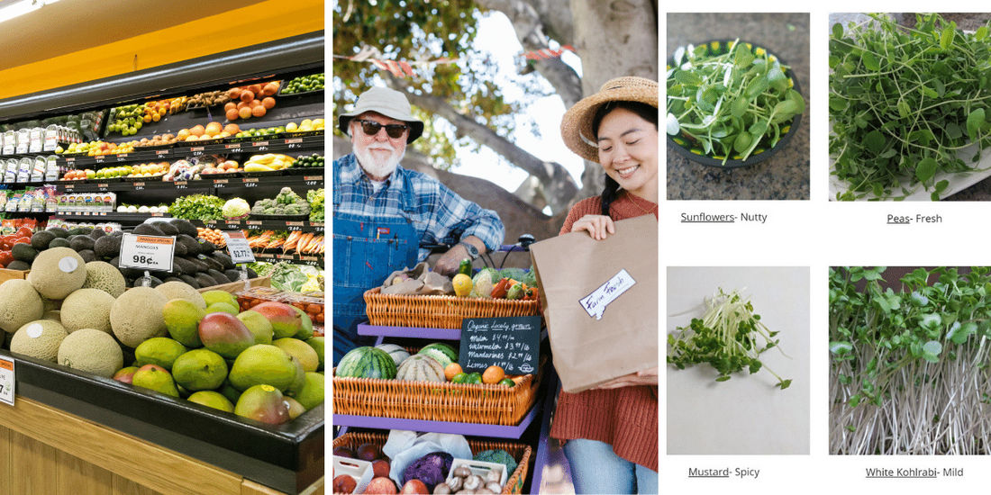 How to buy Microgreens