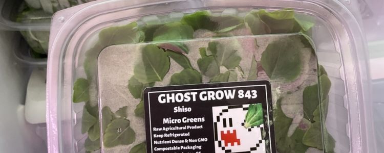 Microgreen Packaging: Compostable vs. Plastic Containers