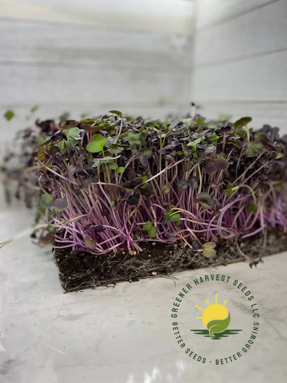 Microgreens by Color