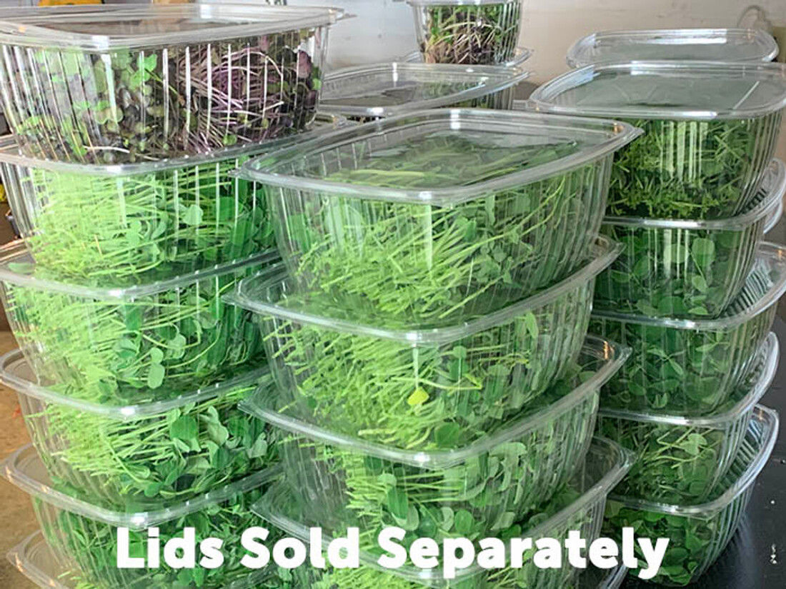 The Ultimate Guide to Choosing Containers for Microgreens