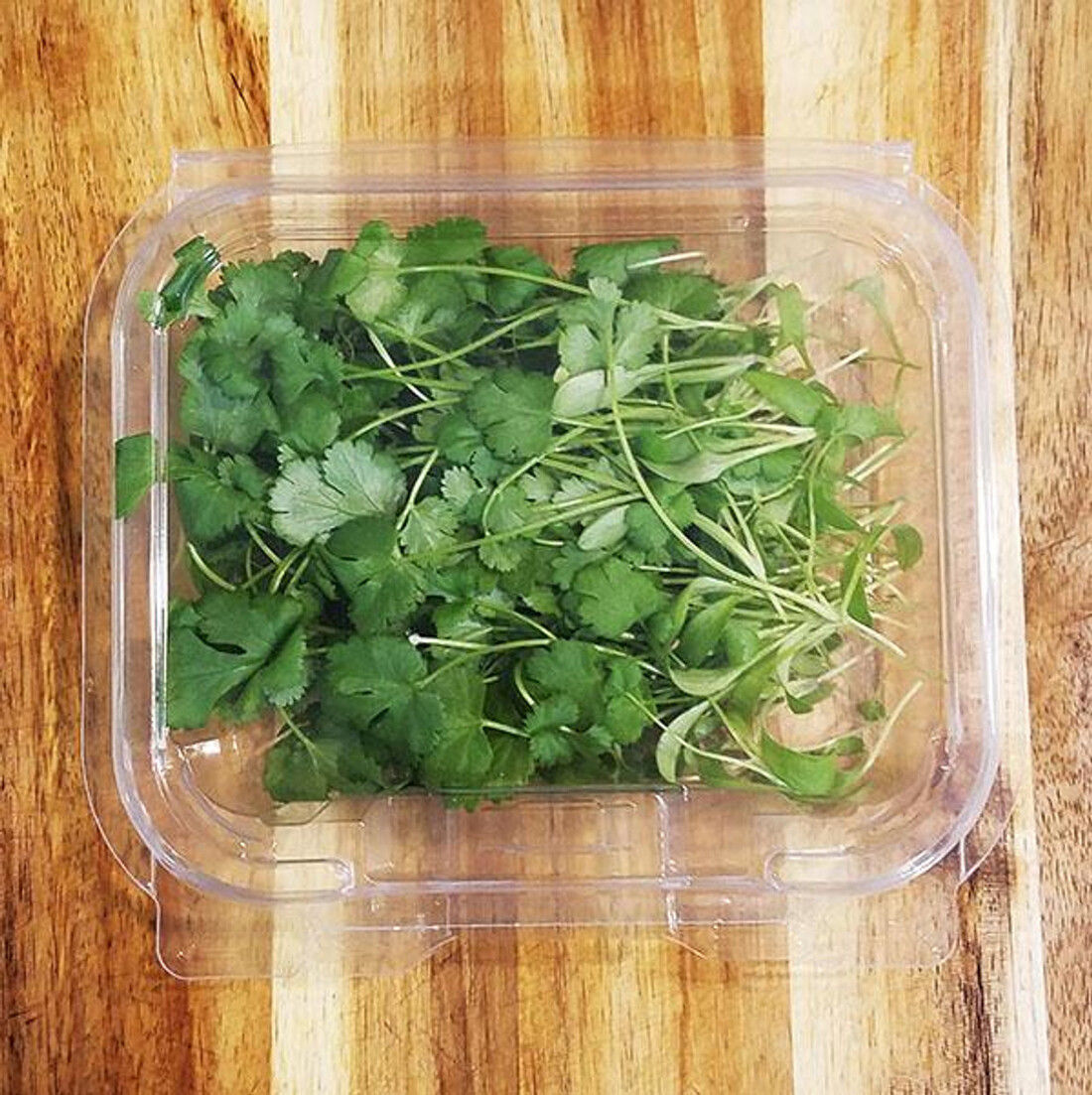 The Ultimate Guide to Choosing Containers for Microgreens