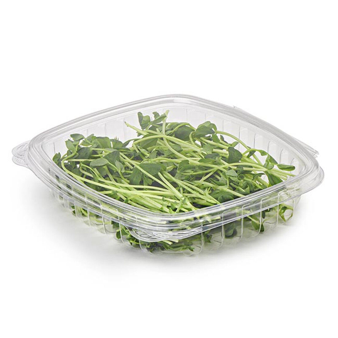 The Ultimate Guide to Choosing Containers for Microgreens