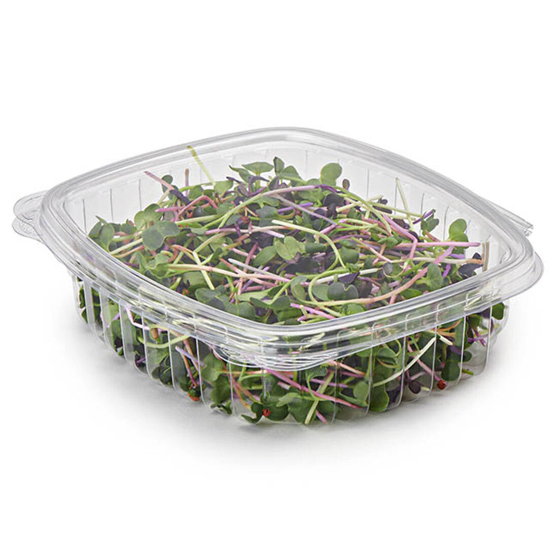The Ultimate Guide to Choosing Containers for Microgreens
