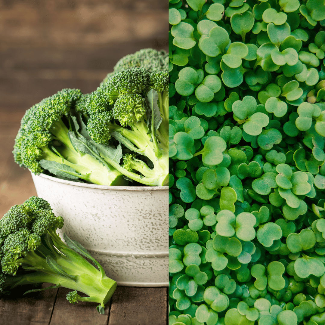 Microgreens vs. Mature Greens: A Nutritional Powerhouse Comparison
