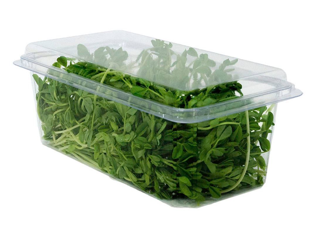 The Best Container for Microgreen Sales