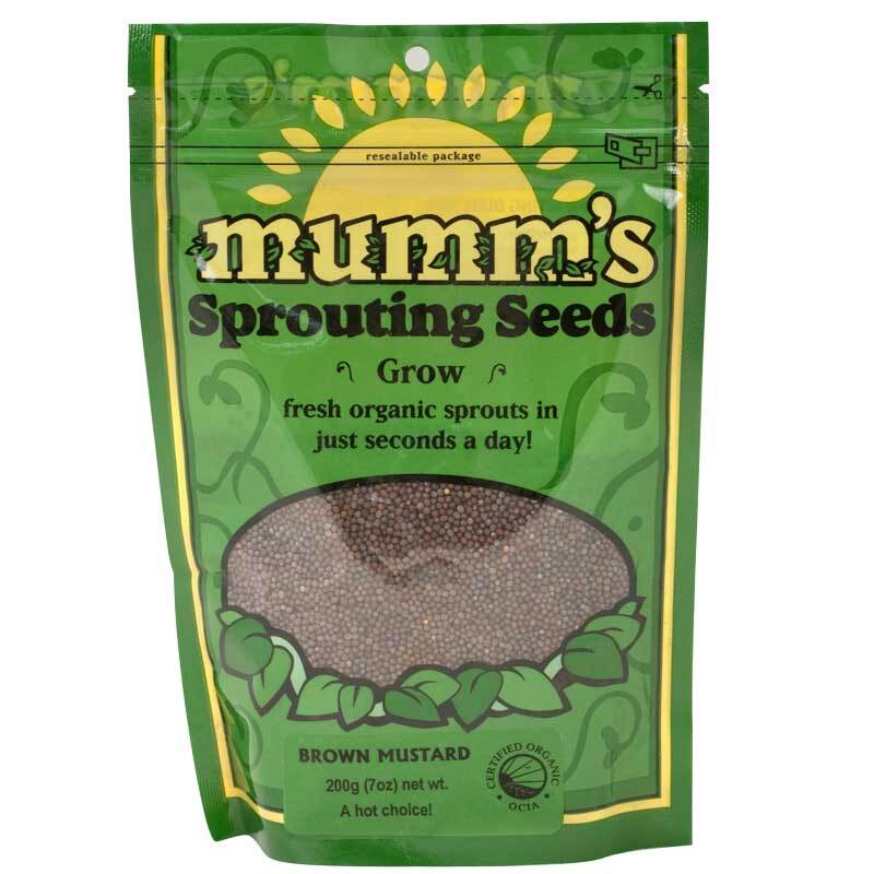 The Power of Sprouts: How Mumm's Sprouting Seeds is Making a Difference