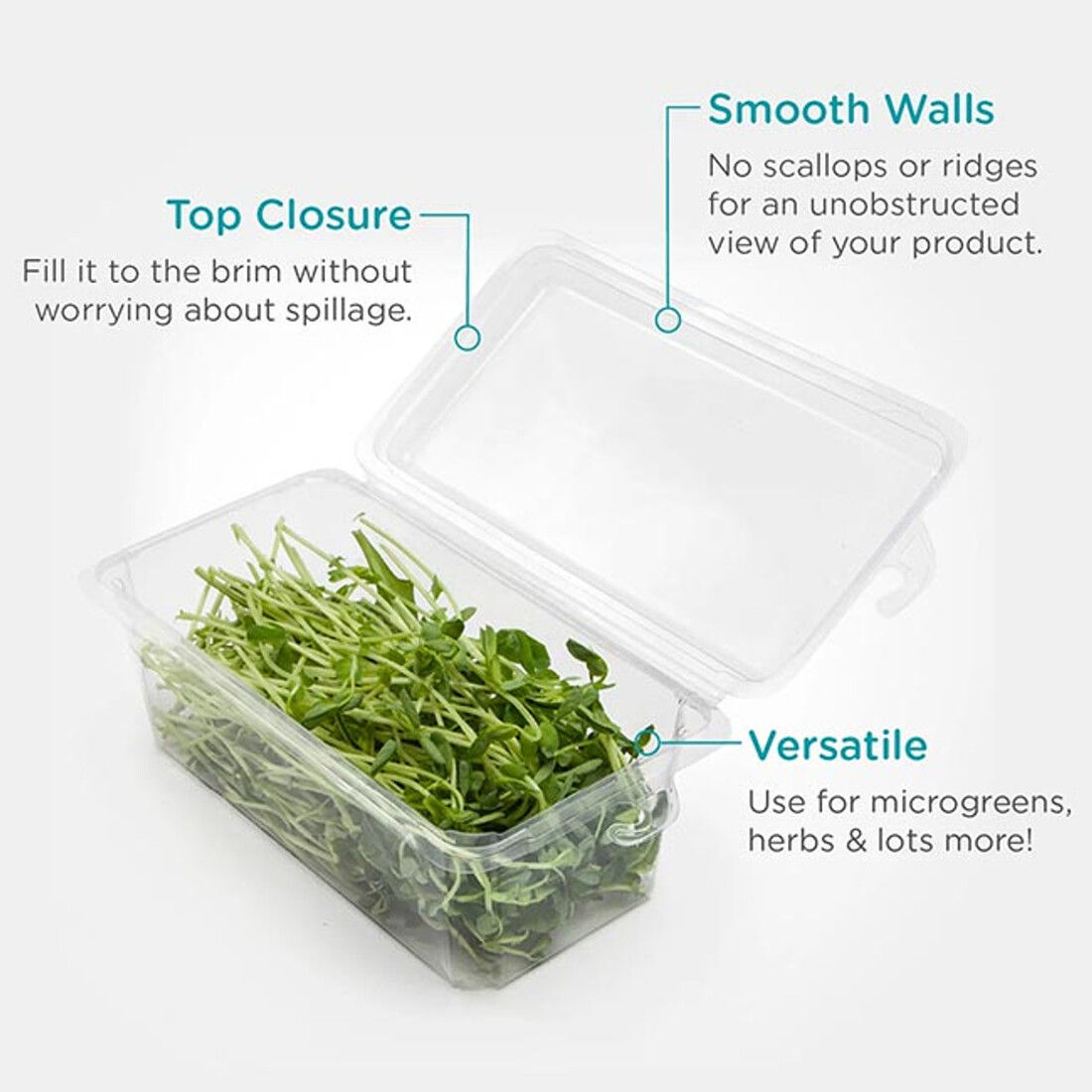 The Ultimate Guide to Choosing Containers for Microgreens