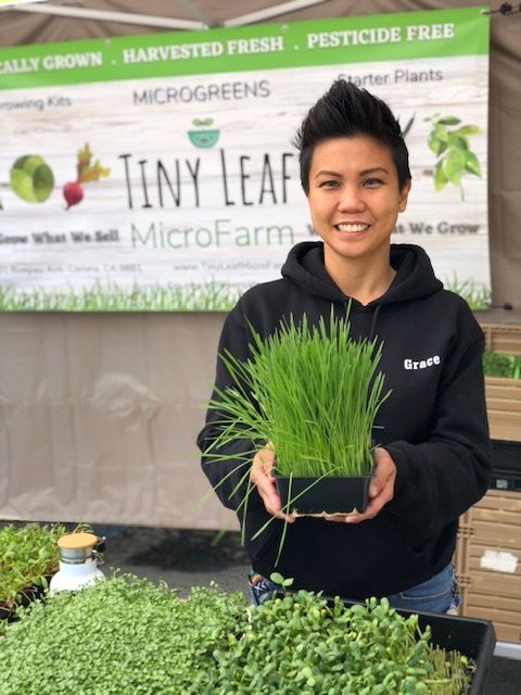 Top 5 Places to Buy Microgreens in California