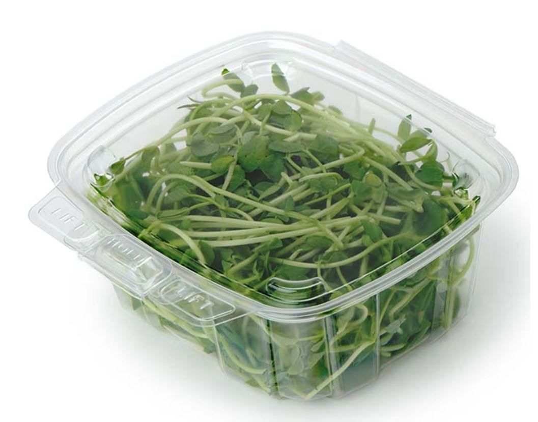 The Best Container for Microgreen Sales