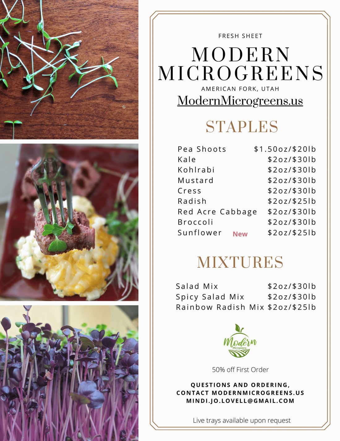 Strategy Planning for Targeting Local Businesses