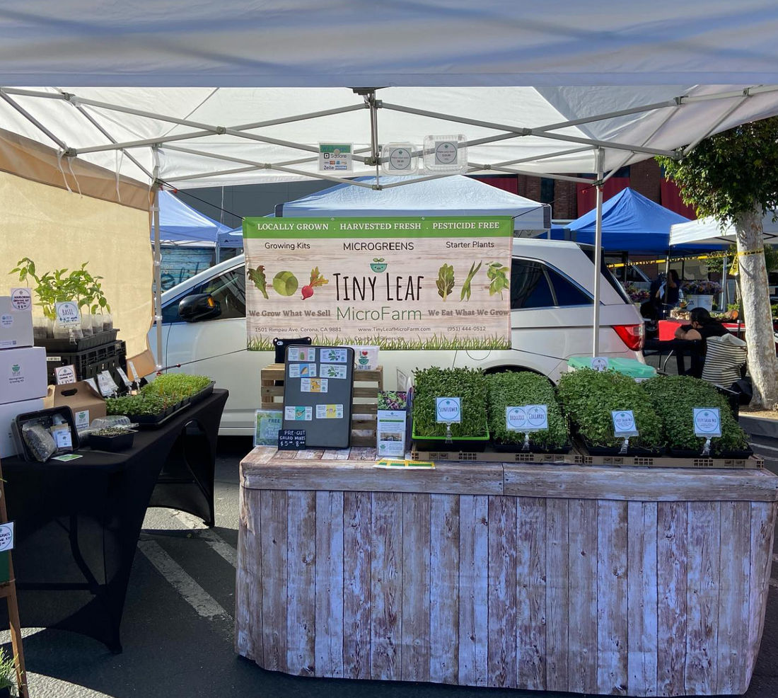 How to Design a Stunning Microgreens Booth That Attracts Customers and ...