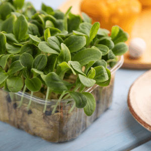 Harvest Acre Microgreen Farm in Mequon, WI