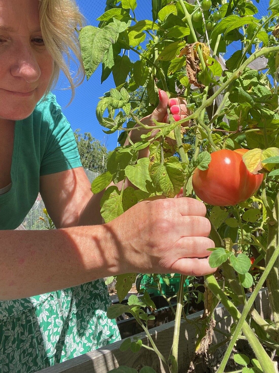 Harvest Acre Microgreen Farm in Mequon, WI