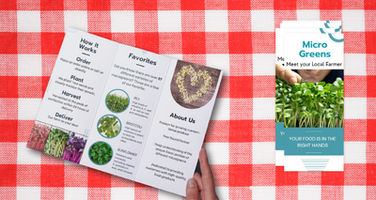 Educational Z fold Pamphlet Template - Microgreens Website - Digital ...
