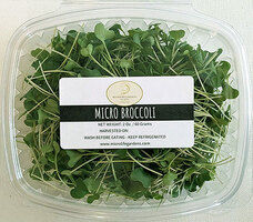 Micro Broccoli - Microgreens Product By MicroLife Gardens
