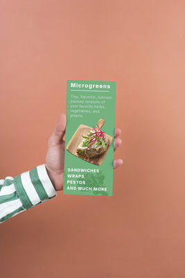 Educational Trifold Pamphlet Template - Microgreens Website - Digital ...