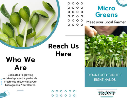 Educational Z fold Pamphlet Template - Microgreens Website - Digital ...