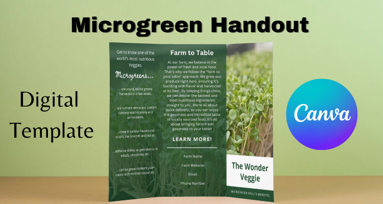 Nutritional Wonder Veggie Trifold Pamphlet Template - Microgreens ...