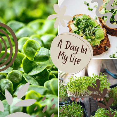 Microgreen Pizza - Microgreens Recipe By Modern Microgreens