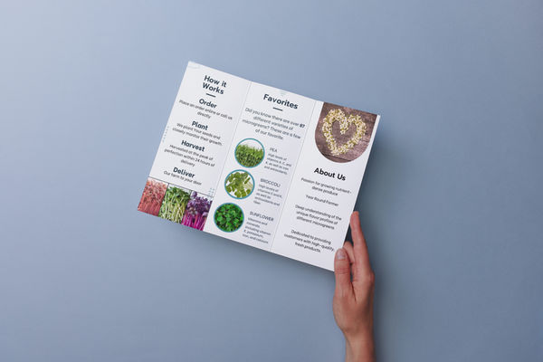 Educational Z fold Pamphlet Template - Microgreens Website - Digital ...