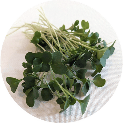 Micro Broccoli - Microgreens Product By MicroLife Gardens