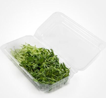 16 oz Low Profile PLA Clamshell Containers - 300 - Microgreens Product ...