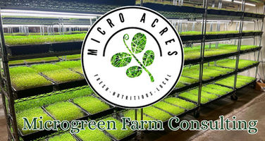 Microgreens Website Blog Articles - Find Microgreen Farmer Website Blog ...