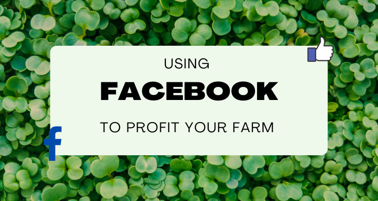 Using Facebook to Profit your Farm