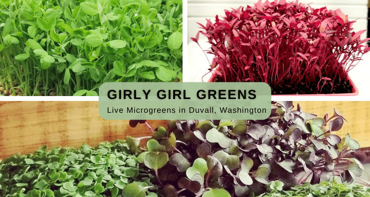 Girly Girl Greens- Fresh local Microgreen Farm