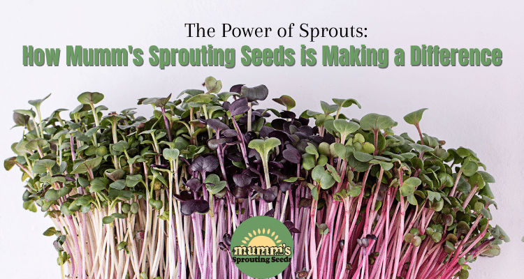 The Power of Sprouts: How Mumm's Sprouting Seeds is Making a Difference