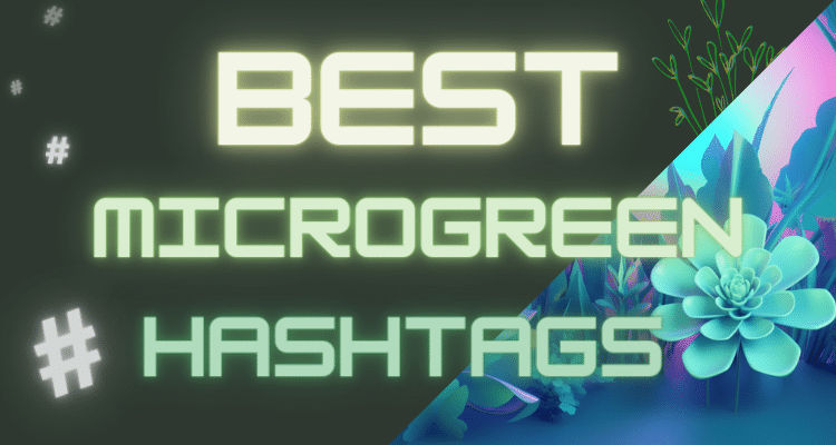 Best Hashtags for Marketing Microgreens