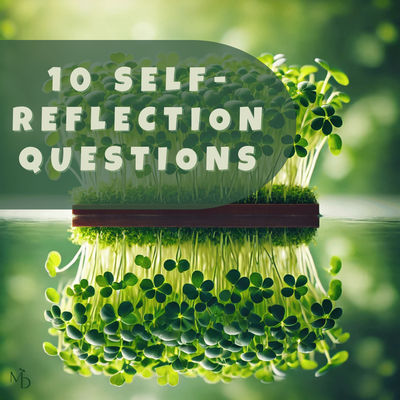 10 Essential Self-Reflection Questions for Microgreen Success