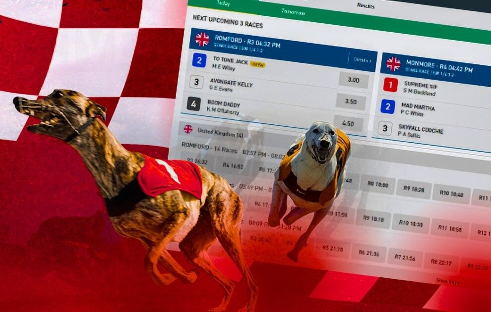 Trinidad's Premier Gaming Service