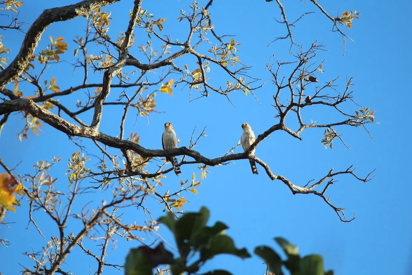 Yok Don National Park: Things To DO & A Complete Travel Guide