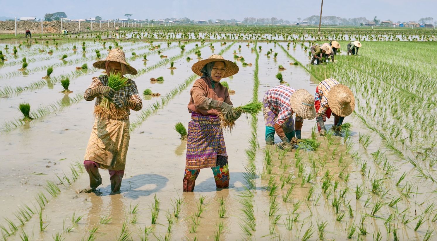 Beer Street Hanoi: Best Bars, Nightlife & Bia Hoi Experience