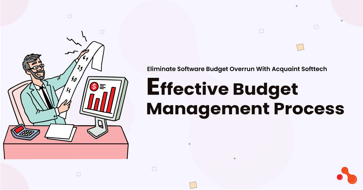 Software Budget Management Strategies