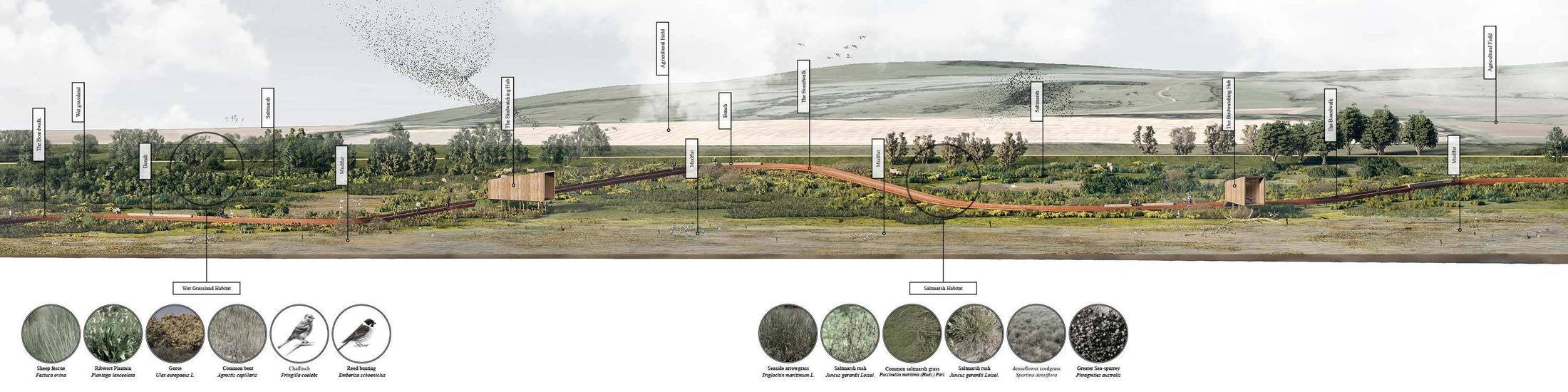 AF Graduate Showcase | Anson Lai