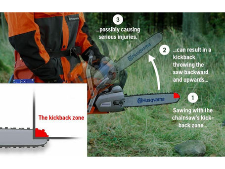 How to Cut Down A Tree Correctly