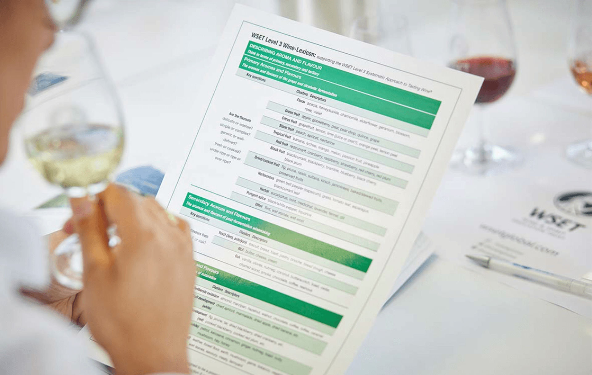 WSET Level 3 Award in Wines