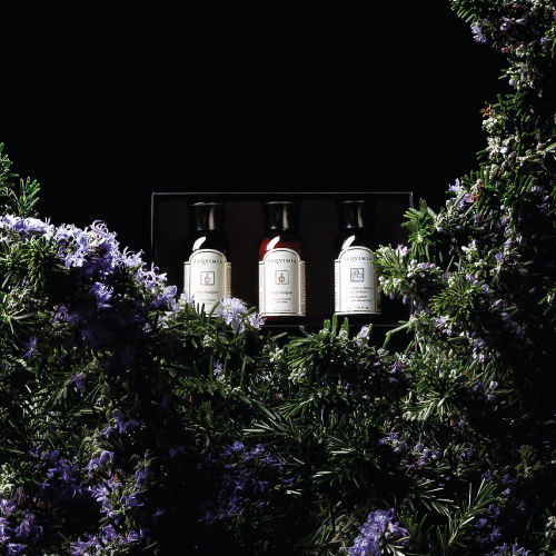 ALQVIMIA | ALQVIMIA | Servicios Online