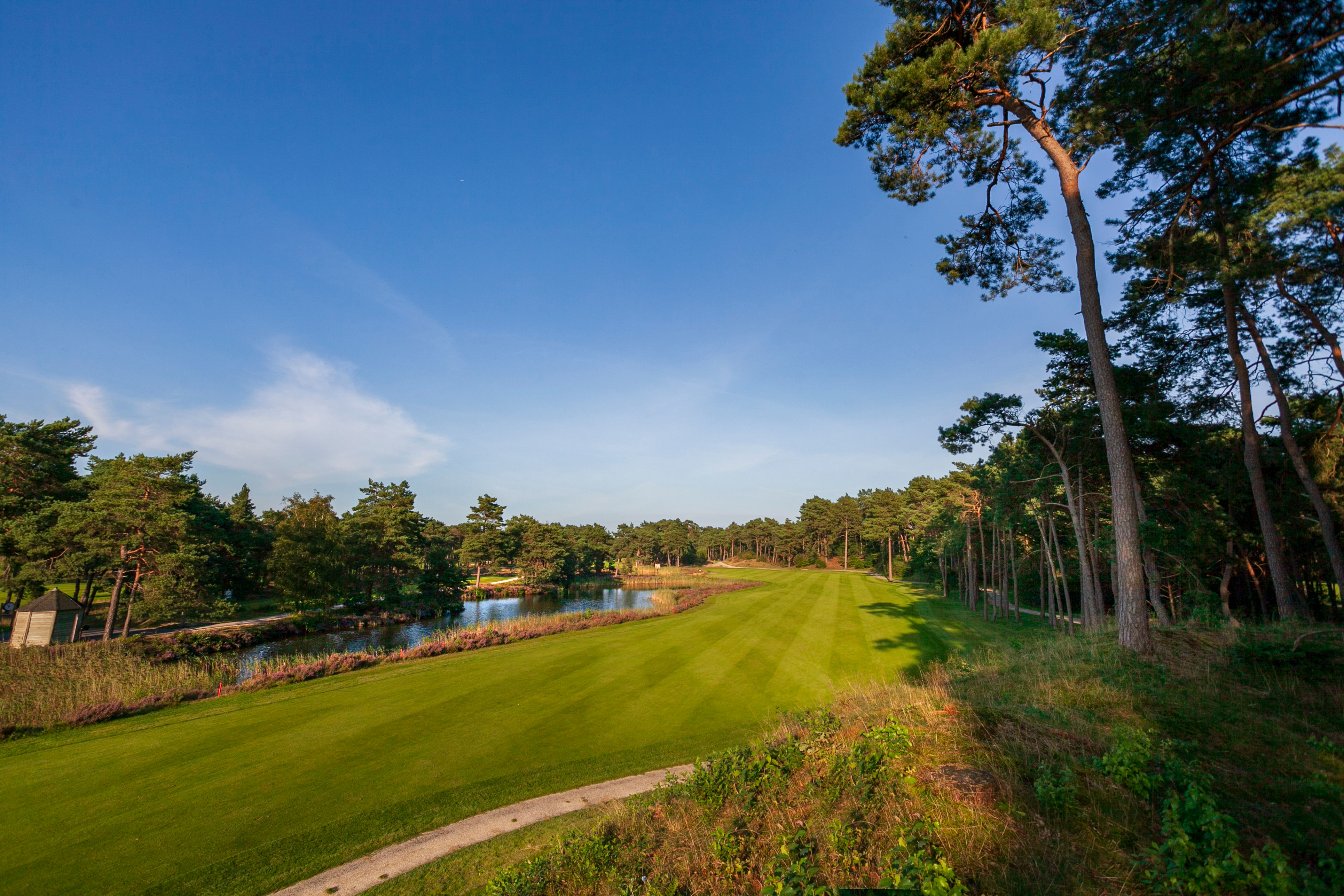 Het Rijk van Nunspeet ⛳ 10% greenfeekorting | ANWB Golf | ANWB Golf