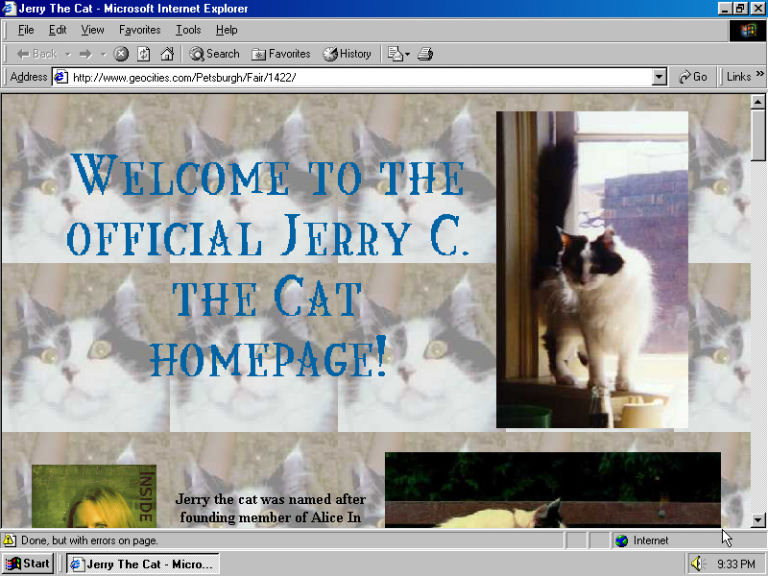An Ode to Geocities - The History of the Web