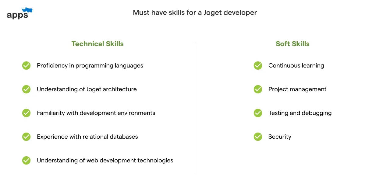 What should an ideal joget developer look like?